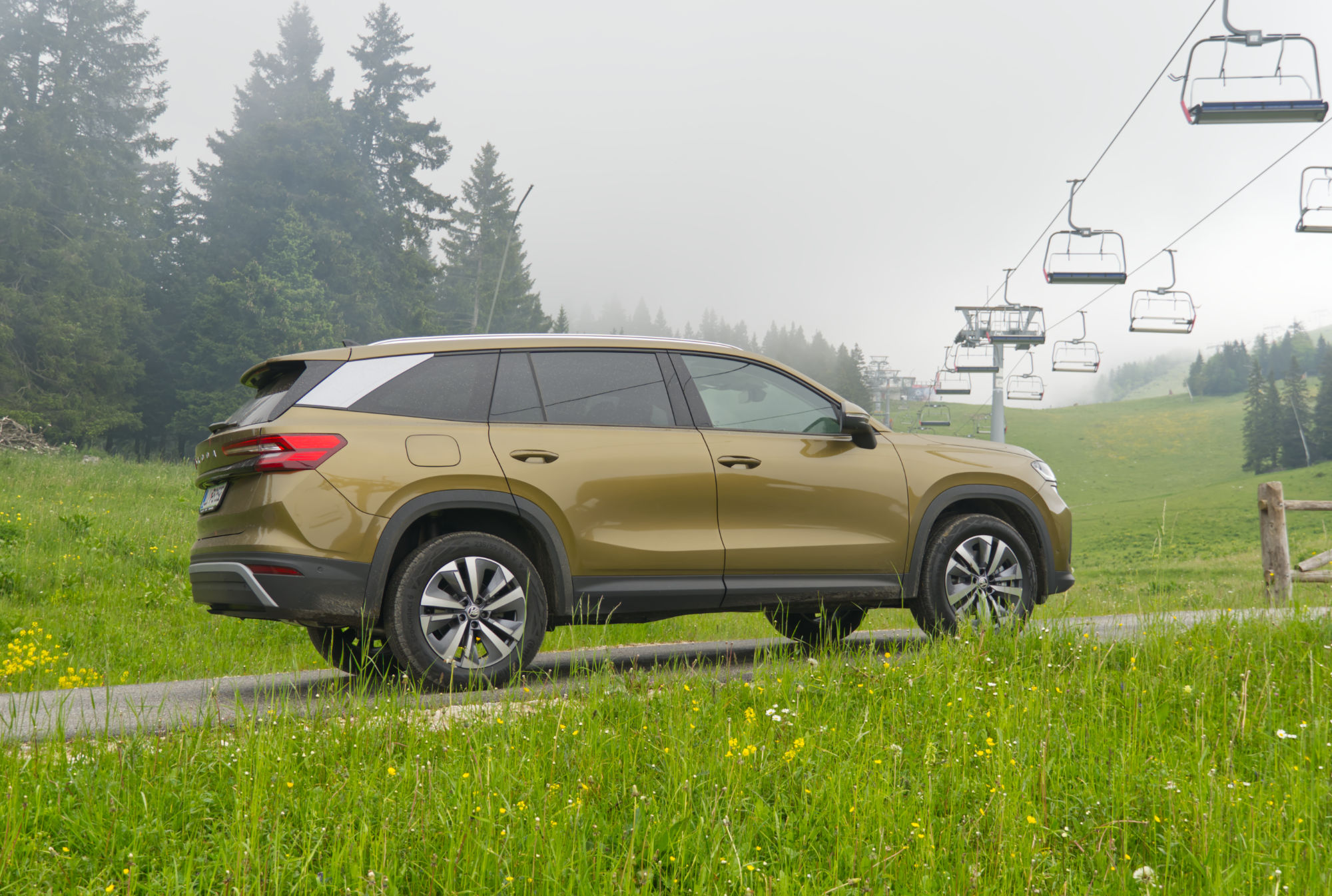 PRVI VTIS Škoda Kodiaq: Medved se ne bo dal kar tako izriniti s ...